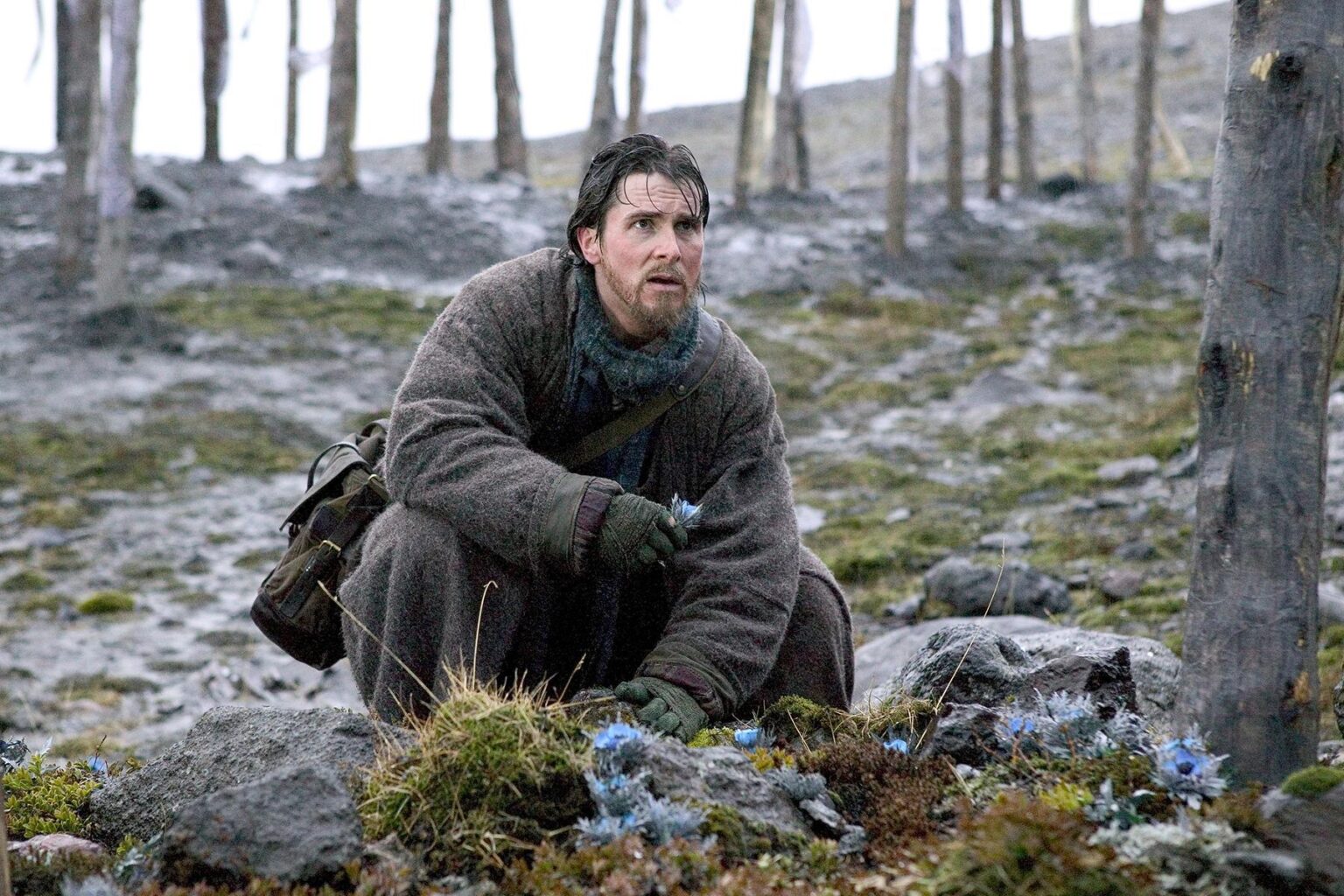 30+ Best Icelandic Movies and TV Shows to Inspire Your Travels