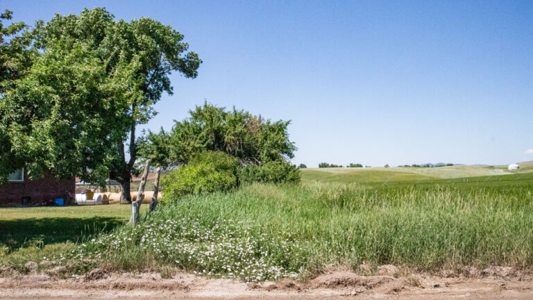 All 17 Napoleon Dynamite Filming Locations: FULL List + Sweet Map!